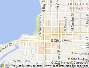 Eustis FL Real Estate & Homes for Sale in Eustis Florida: Weichert.com