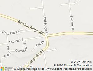 Millington NJ Real Estate & Homes for Sale in Millington New Jersey ...