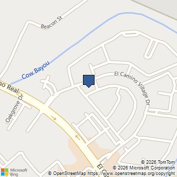 1405 El Camino Village Drive Webster TX for sale: MLS #10027081 | Weichert